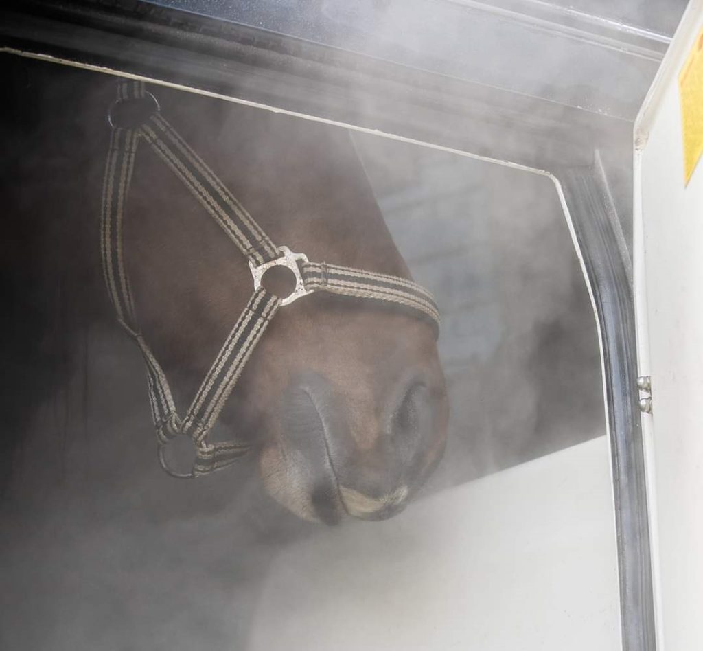 Inhalation – Hufrehe-Rehazentrum